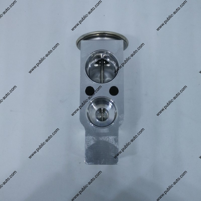 Proton Saga Flx Sanden Valve (Ori)